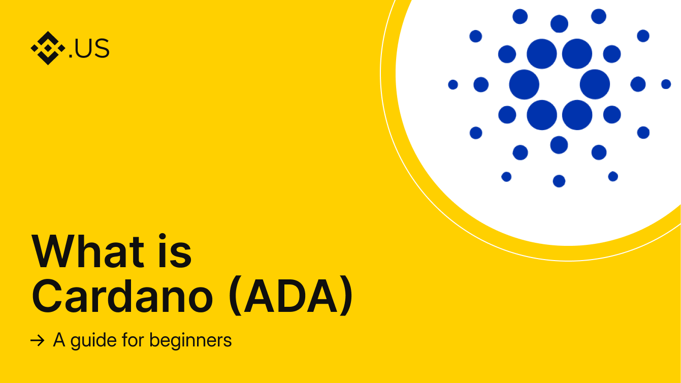 What Is Cardano (ADA)? A Guide for Beginners | Binance.US