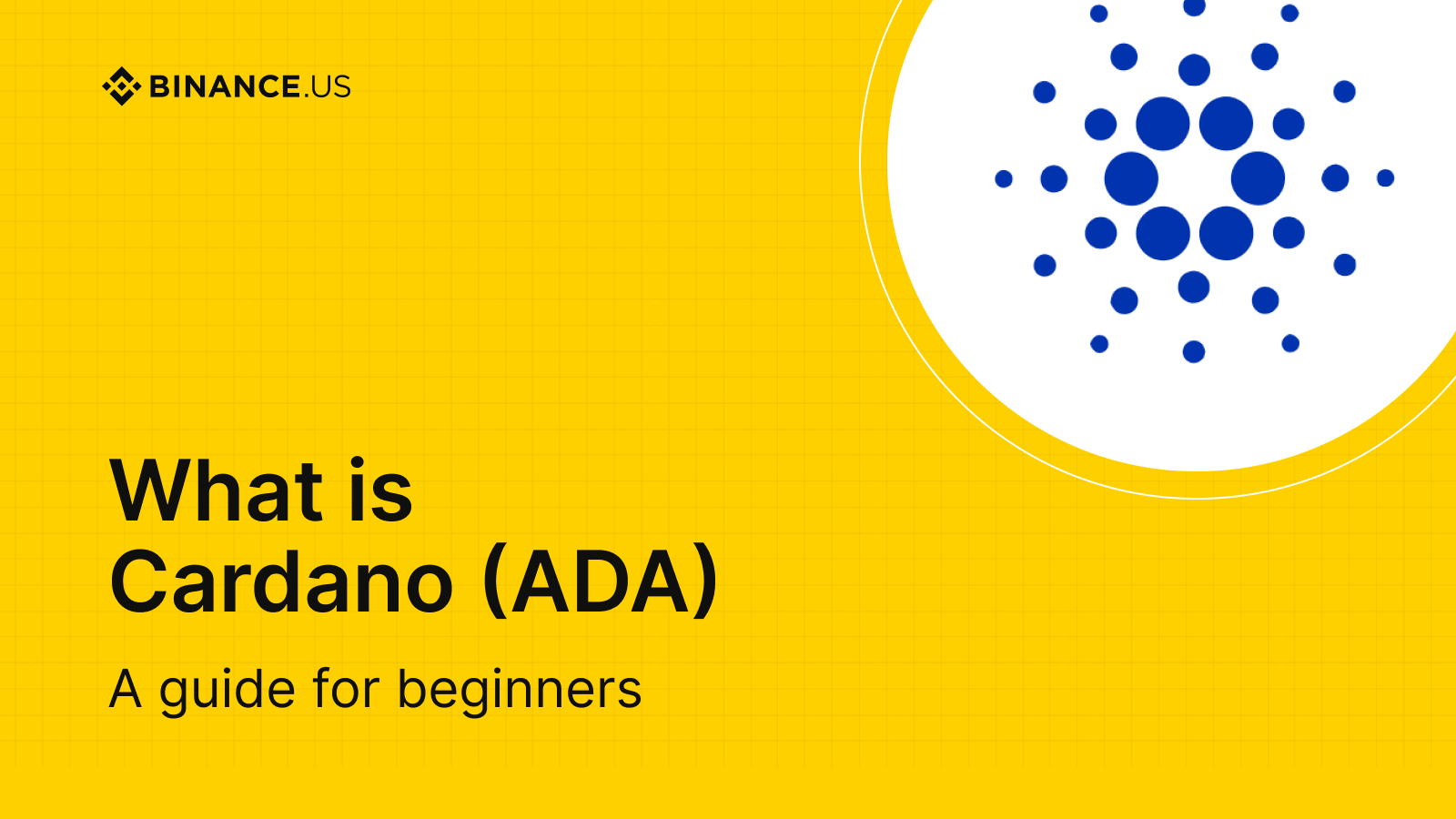 What is Cardano (ADA)? A guide for beginners