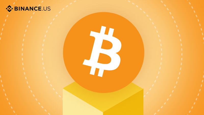 How Does Bitcoin Work: A Guide for Beginners