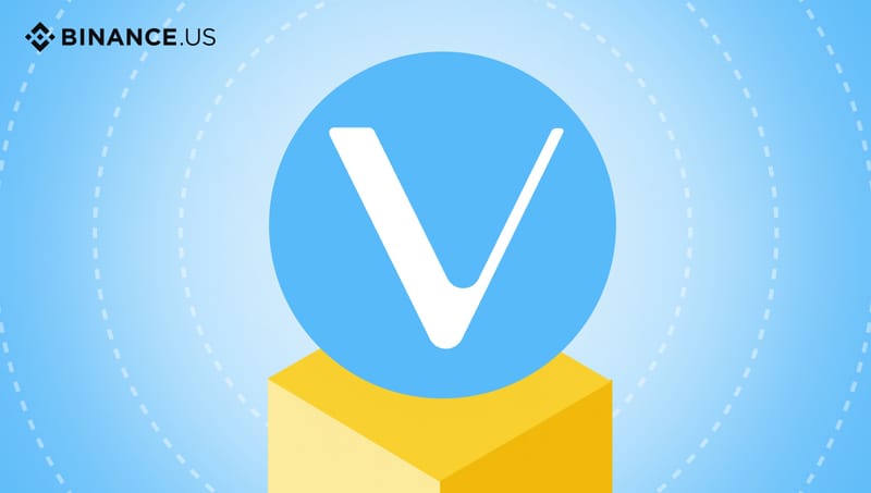 What is VeChain: A Guide for Beginners | Binance.US